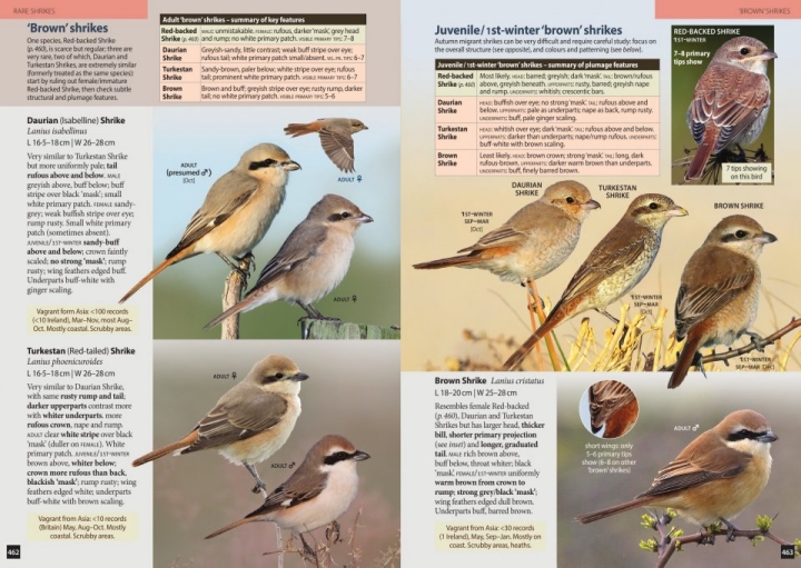 Britain's Birds: An Identification Guide to the Birds of Britain ...